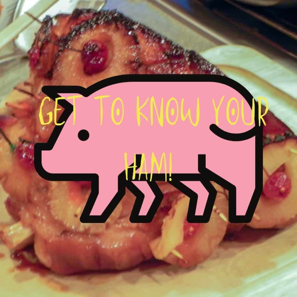 Show Me The Money! | First...you have a beer