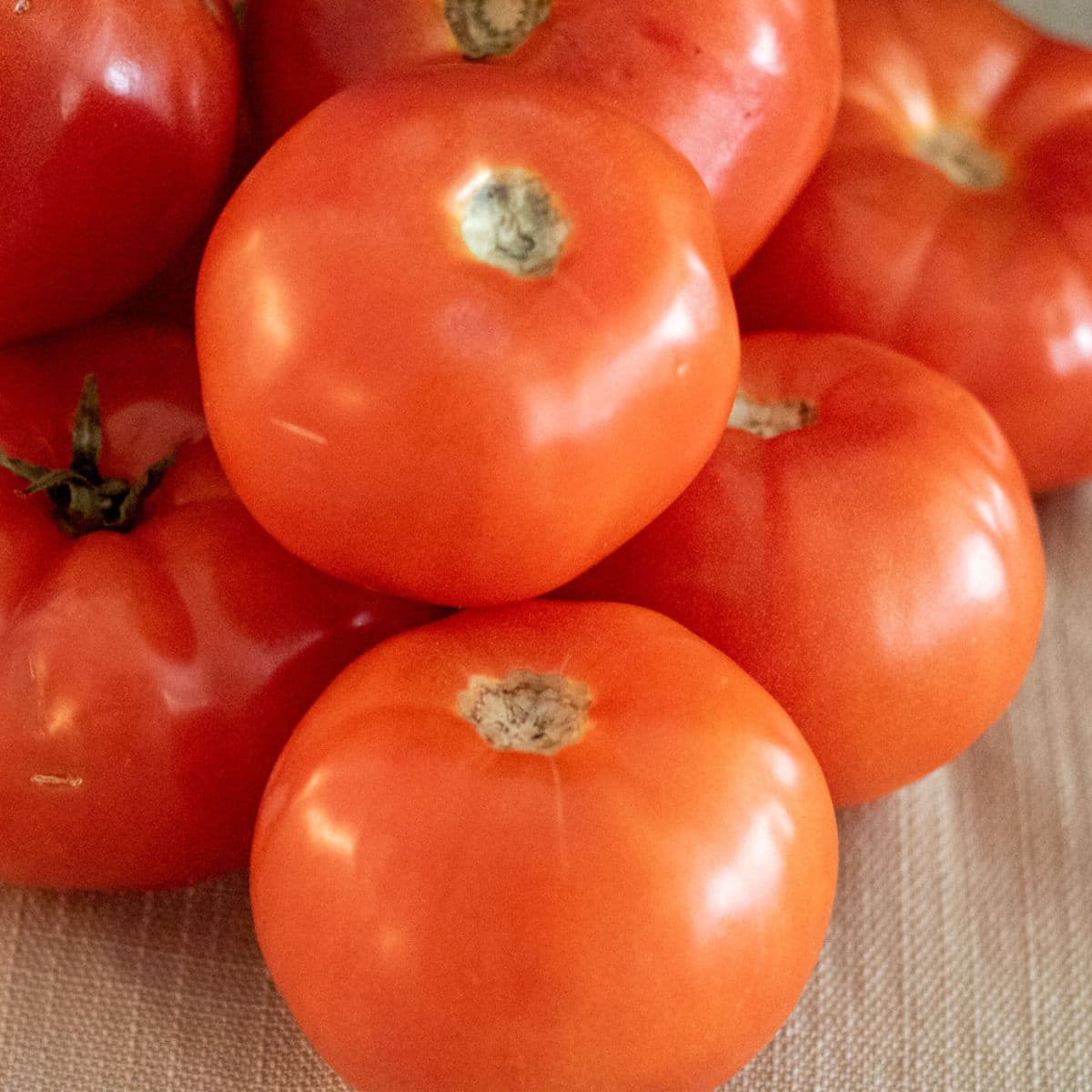 How to Peel Fresh Tomatoes | First...you have a beer