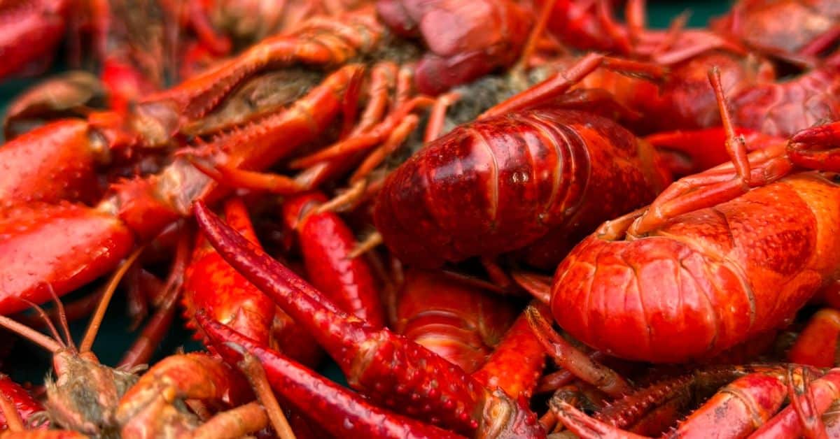 Best Recipes for Leftover or Frozen Crawfish Tails | First...you have a ...